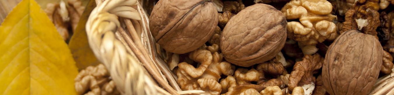 6 bonnes raisons de manger des fruits secs - Le Mag' Guy Demarle