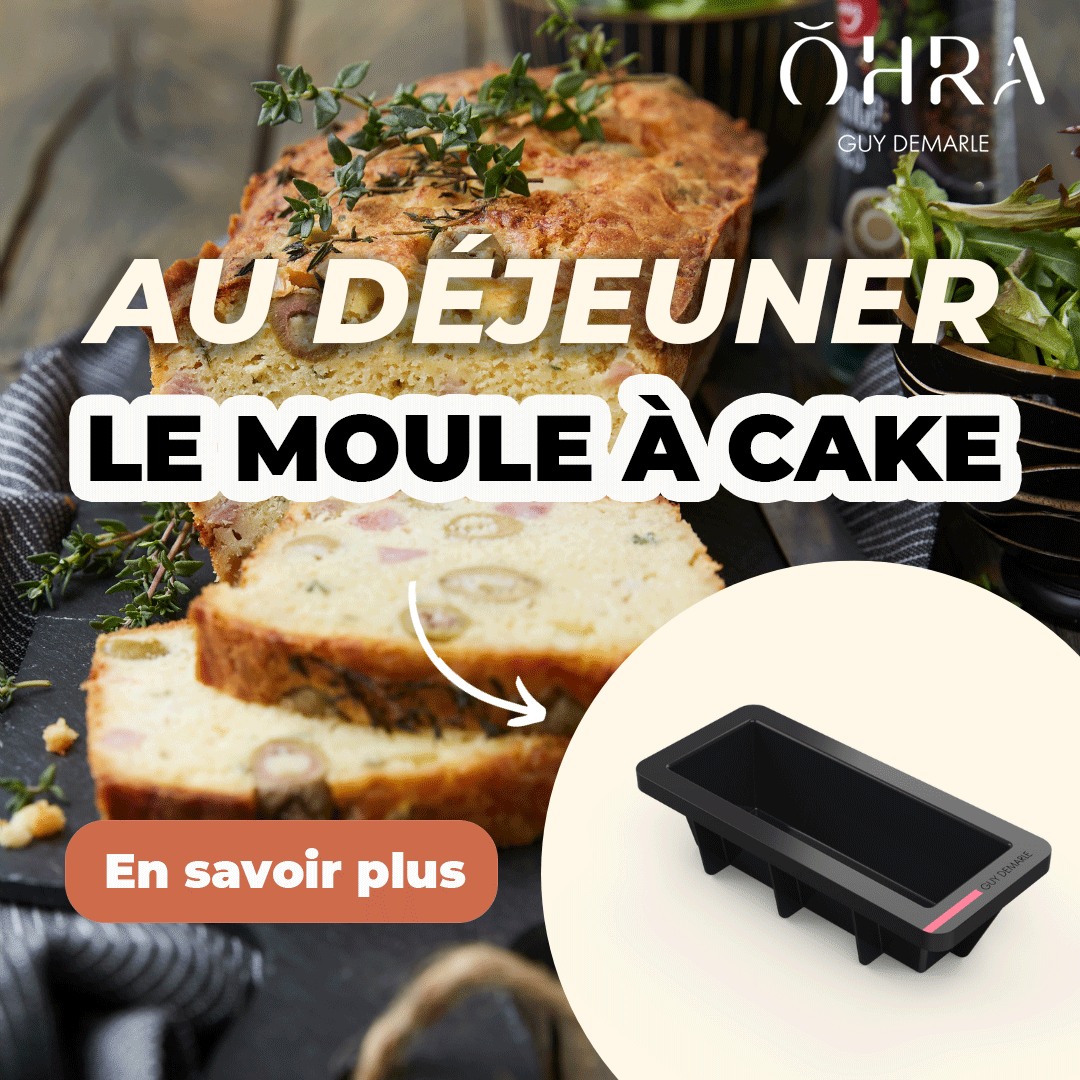 Un moule OHRA® pour chaque repas ! - Le Mag' Guy Demarle